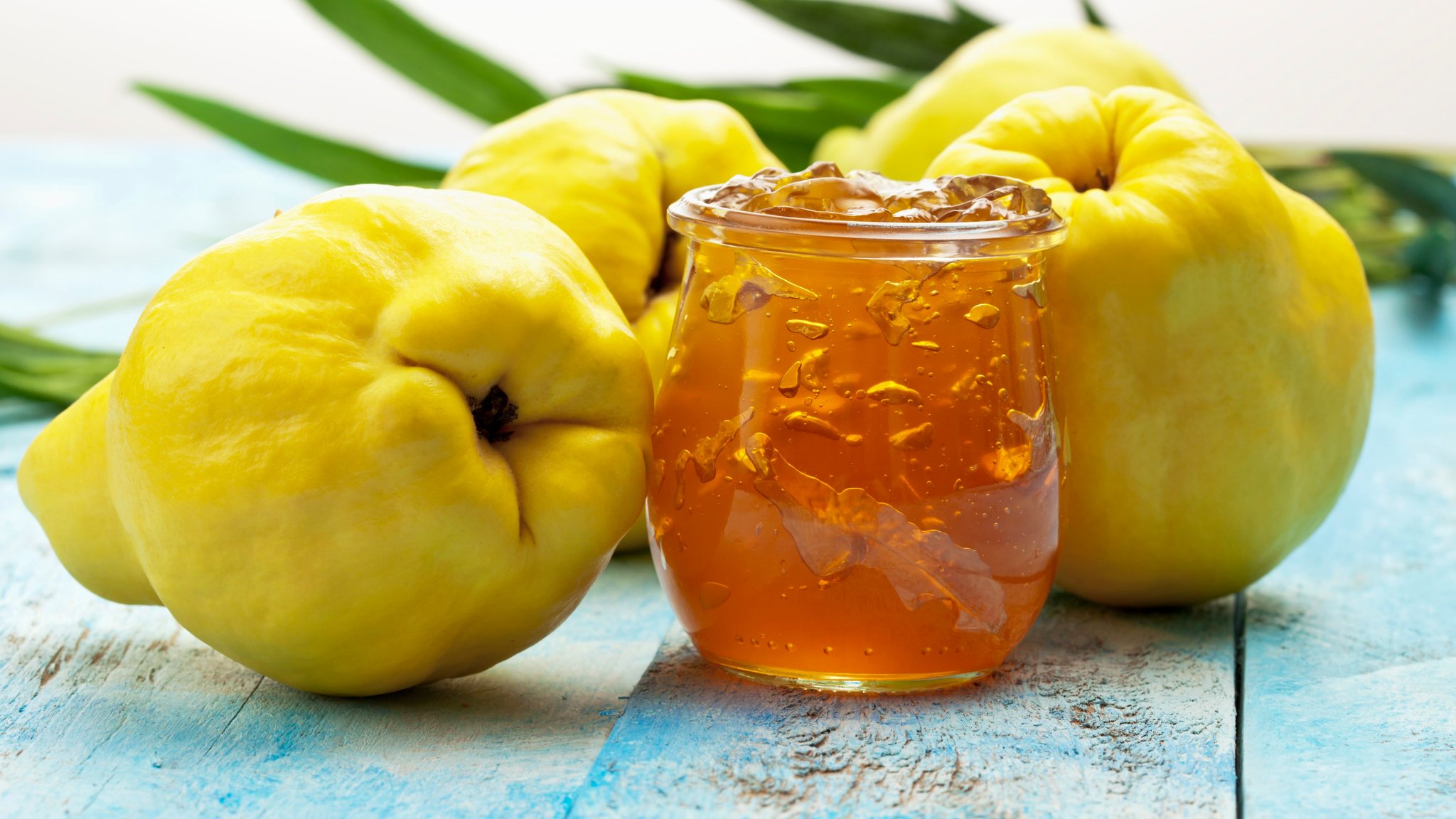 Quitte: Darum gehört die goldgelbe Frucht in Küche und Gärten | BR24