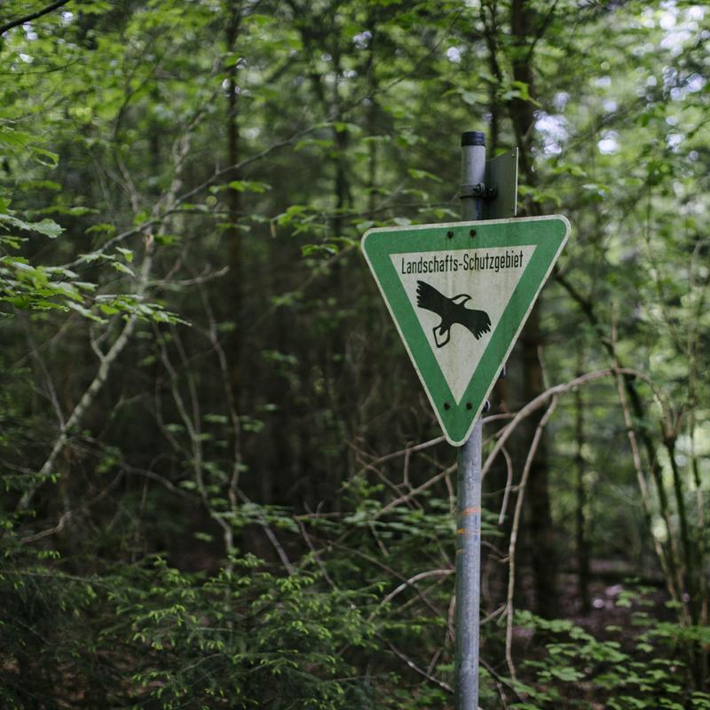 Die halbe Erde unter Schutz - Rettungsmaßnahmen für Klima und Arten ...