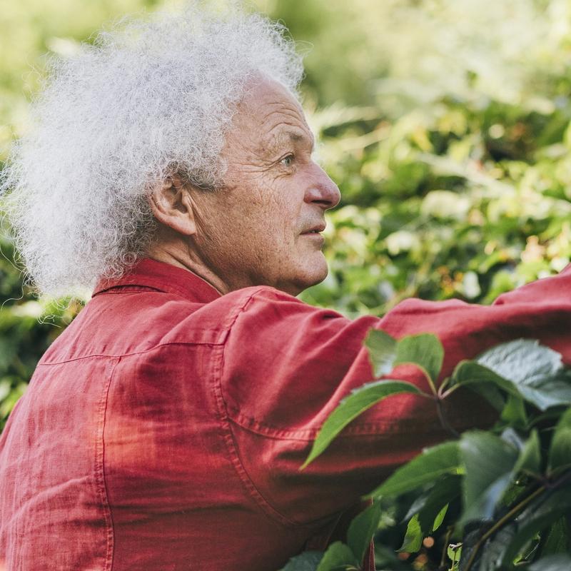 "Die heilende Kraft des Vagus" mit Professor Maximilian Moser - Habe die Ehre! | BR Podcast
