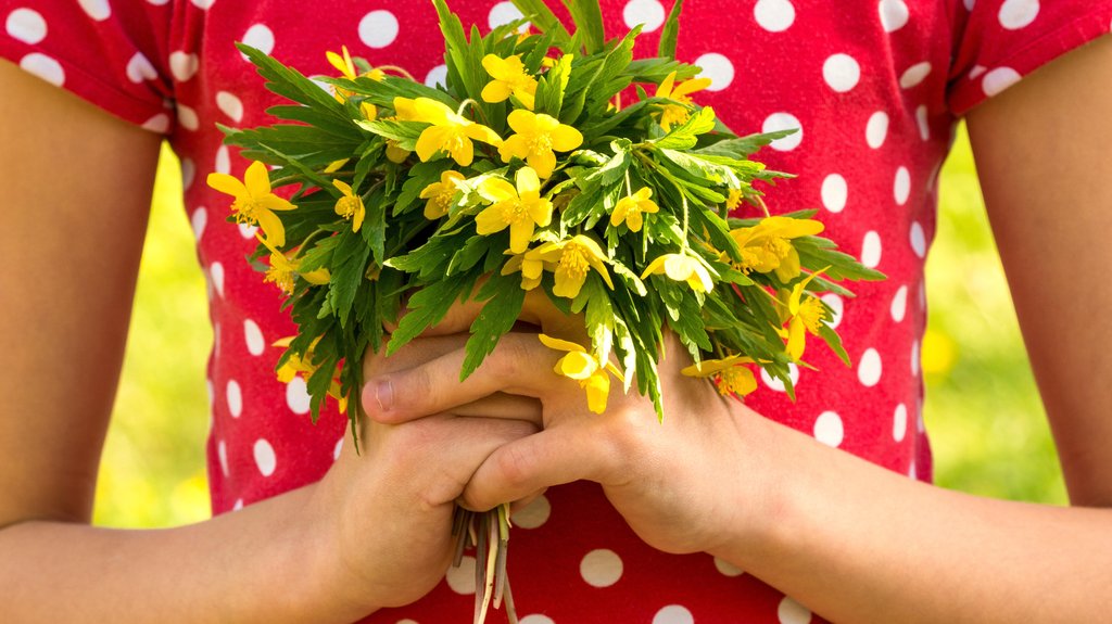 Muttertag: Wer hat ihn erfunden? | BR24