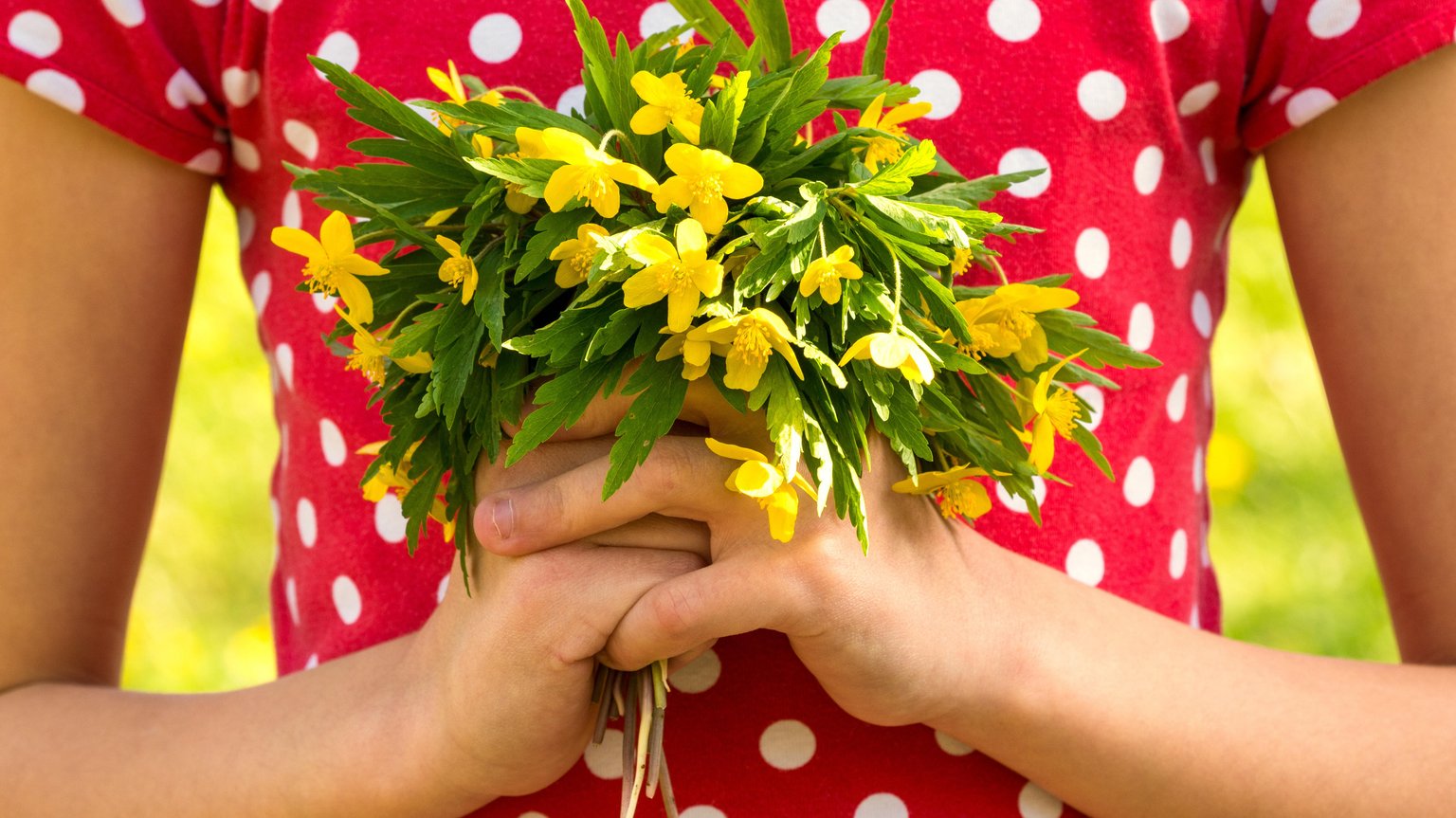 Muttertag: Wer hat ihn erfunden? | BR24