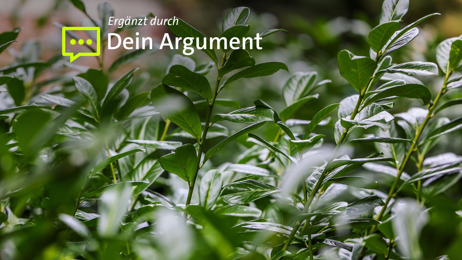 Militärische Drohnen: Wie wichtig bayerische Hersteller sind | BR24