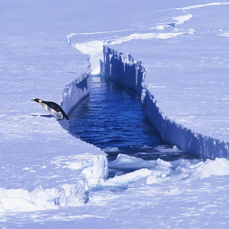 Wann kippen Amazonas, Golfstrom, Antarktiseis? - Kipppunkte im ...