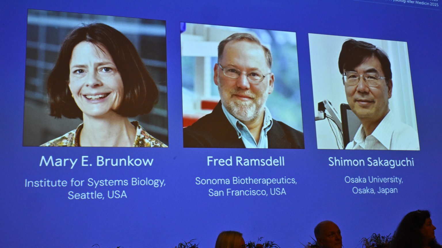 Physik-Nobelpreis für Forschung zu Quantenmechanik | BR24