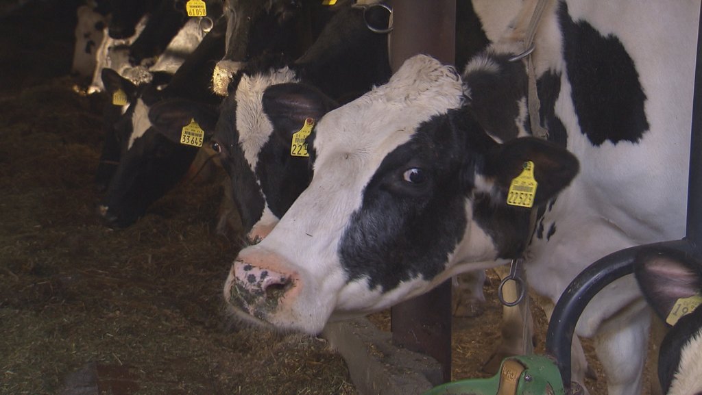 Vater und Tochter: Toni und Max Uthoff machen zusammen Kabarett | BR24