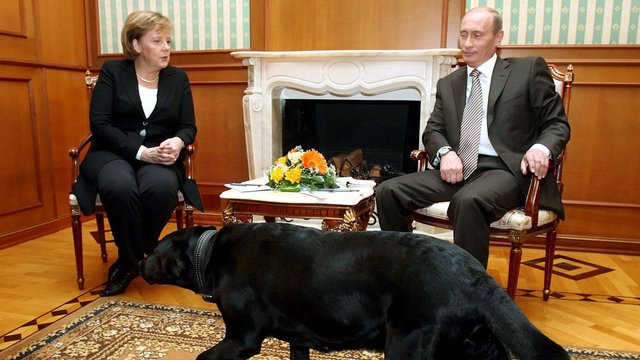 Putin über Merkels Angst vor Hunden: "Angela, bitte vergib mir" | BR24