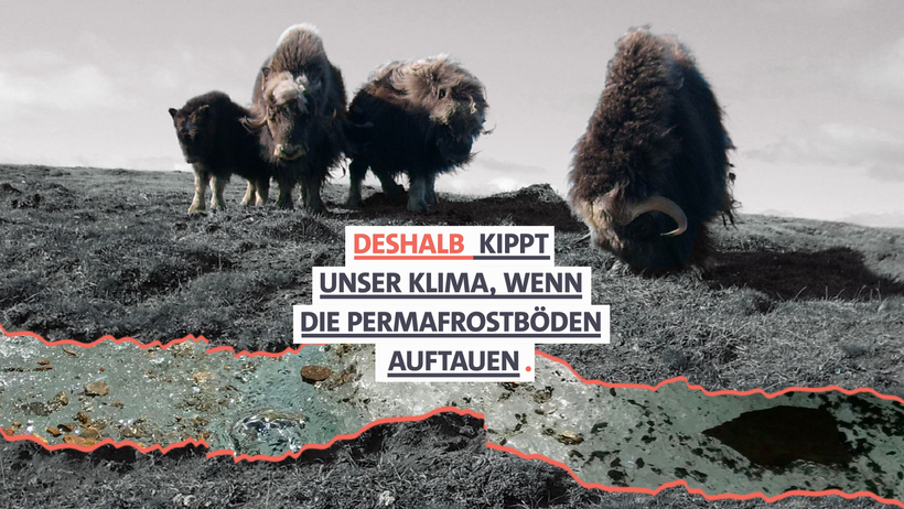 Klima-Kipppunkte: Was bringt das Konzept der Kippelemente? | BR24