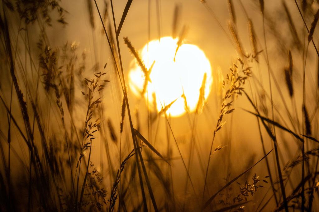 Wetter: Erst Hitze, dann Gewitter in Bayern | BR24