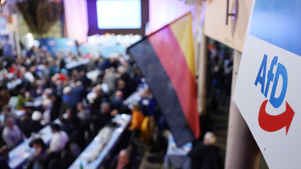 "Ausländerfeindlich": Entsetzen über AfD-Papier zu "Remigration" | BR24