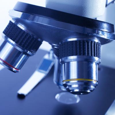 Die Geschichte des Mikroskops - Als die Welt vergrößert wurde ...