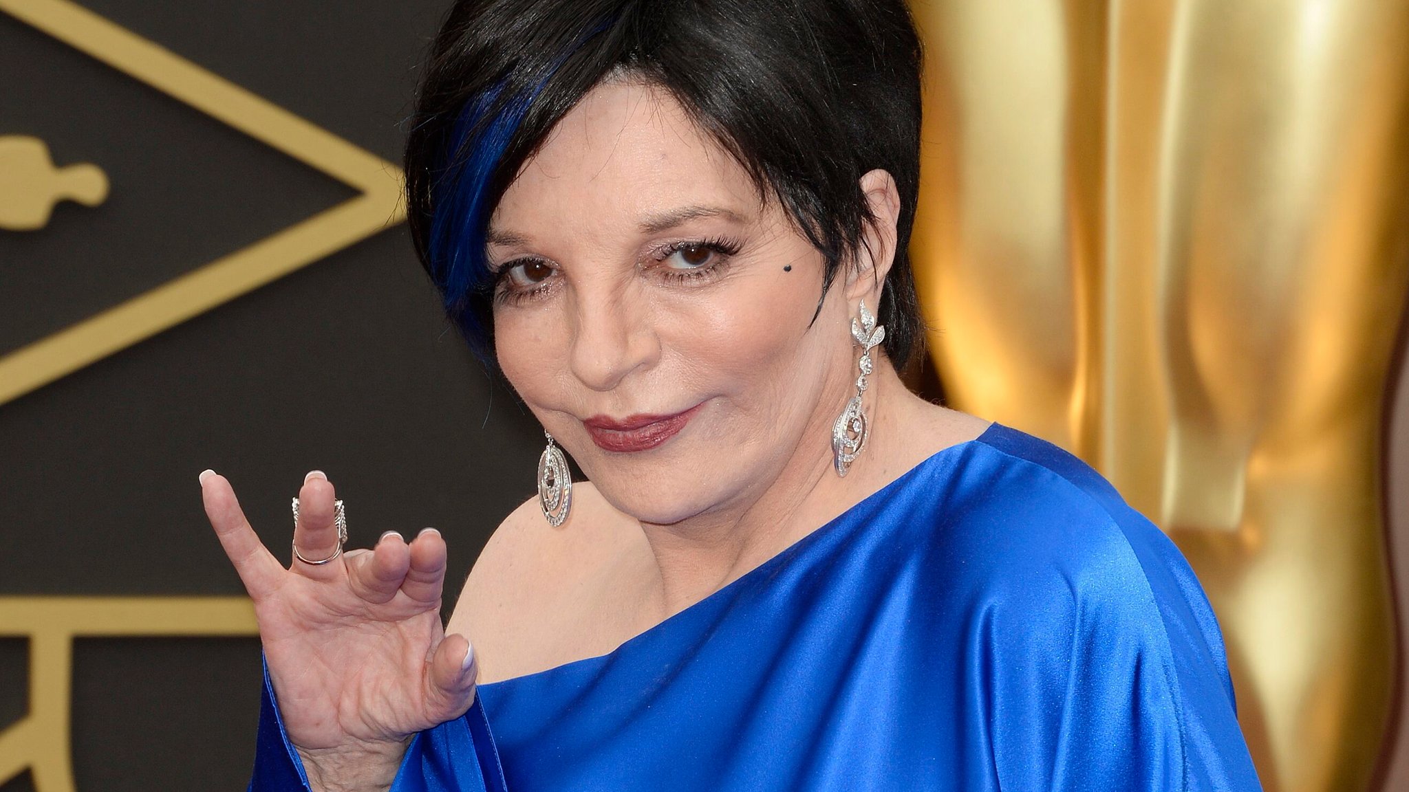 "Du kannst sein, was du willst": Liza Minelli wird 80 | BR24