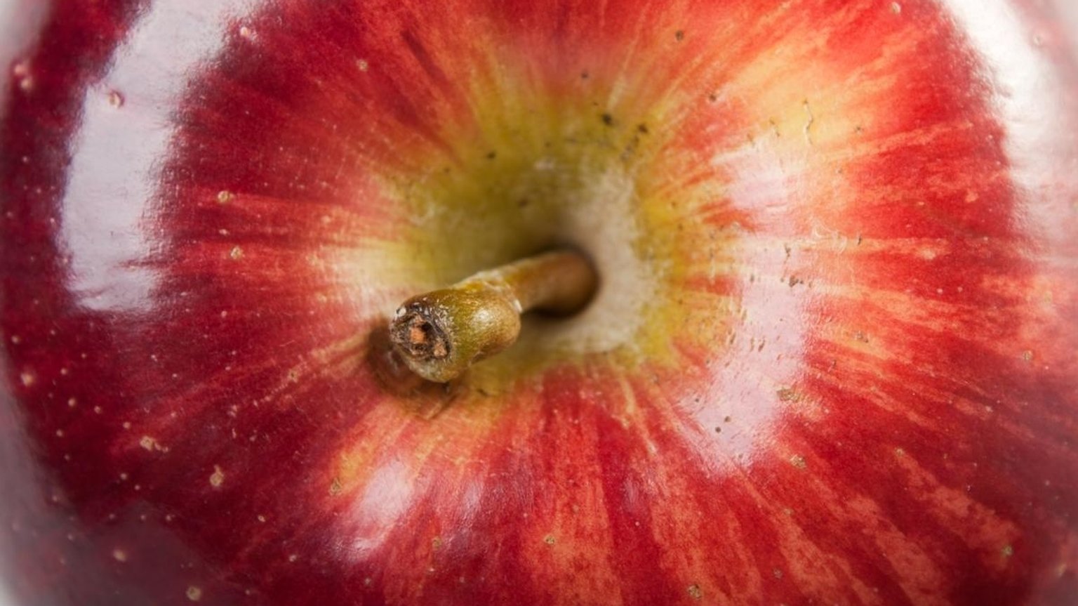"Pompur": Neue Apfelsorten für Allergiker im Handel | BR24