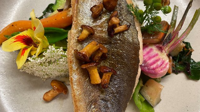 Fastenspeise Fisch: Tipps aus dem Unterallgäu | BR24