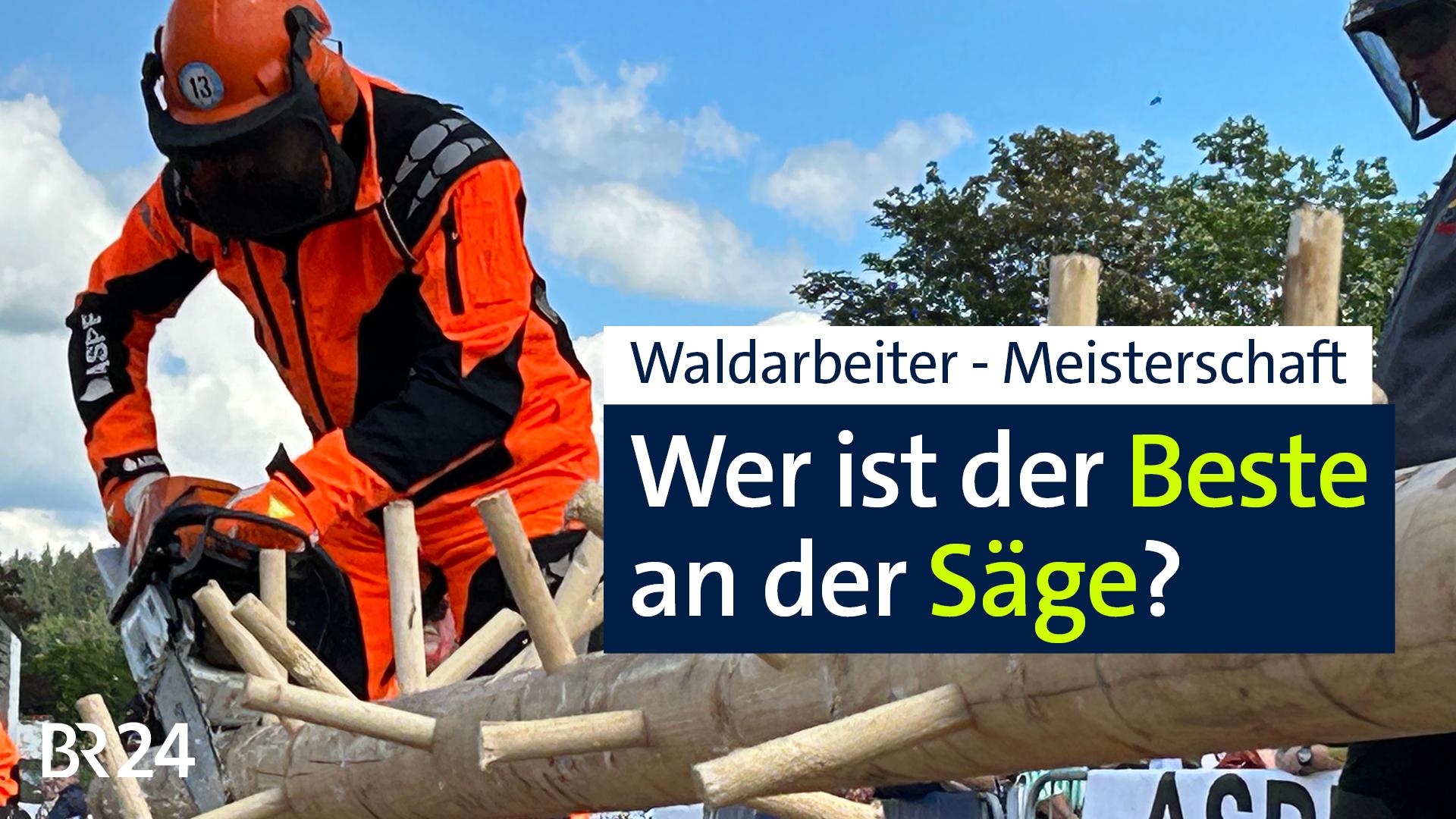 Waldarbeiter-Meisterschaft – wer ist der Beste an der Säge? | BR24