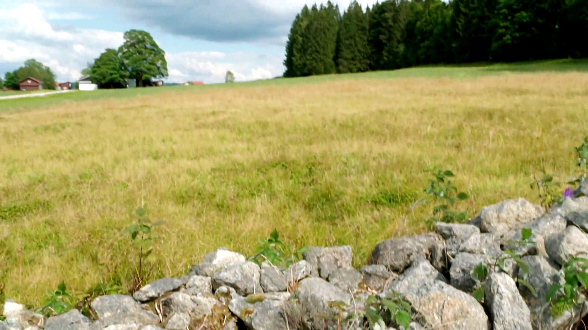 Kulturlandschaft im Bayerischen Wald: : Verschwinden die Kulturlandschaft im Bayerischen Wald: : Verschwinden die