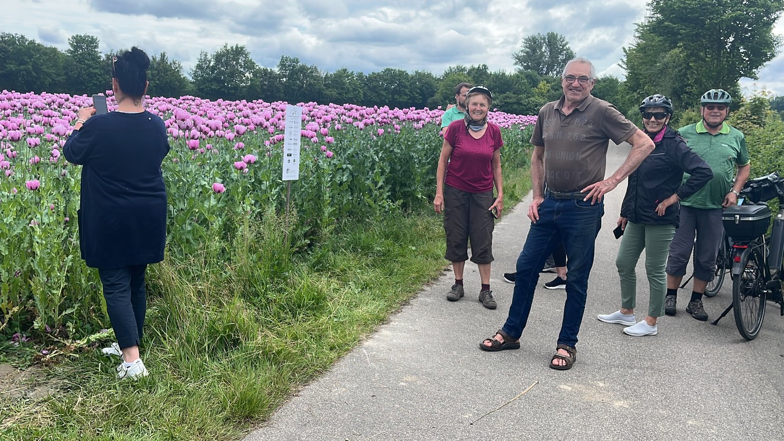 Violette Blüten: Blaumohnfelder werden zum Besuchermagnet | BR24