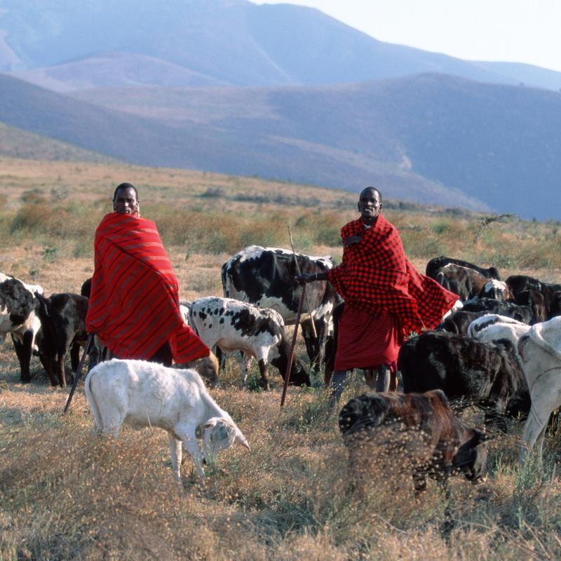Die Religion der Massai - Die Auserwählten von Gott Engai - Radiowissen ...
