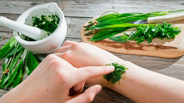 Grasmilben im Garten: Bisse erkennen und Juckreiz bekämpfen | BR24