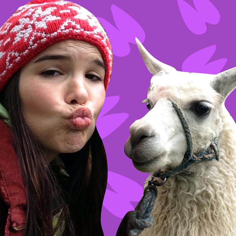 Lamas und Alpakas - Die spuckenden Kamele aus Südamerika - Anna und die ...