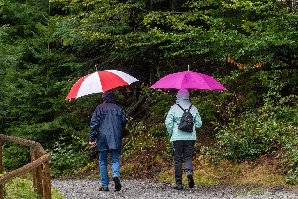 Oktober-Wetter: erst noch warm, dann regnerisch | BR24