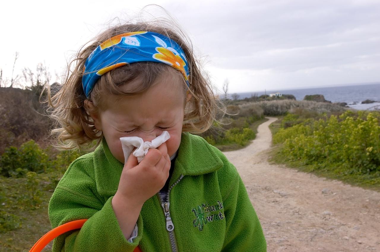 Heuschnupfen-Allergiker: Erste Pollen fliegen schon wieder | BR24