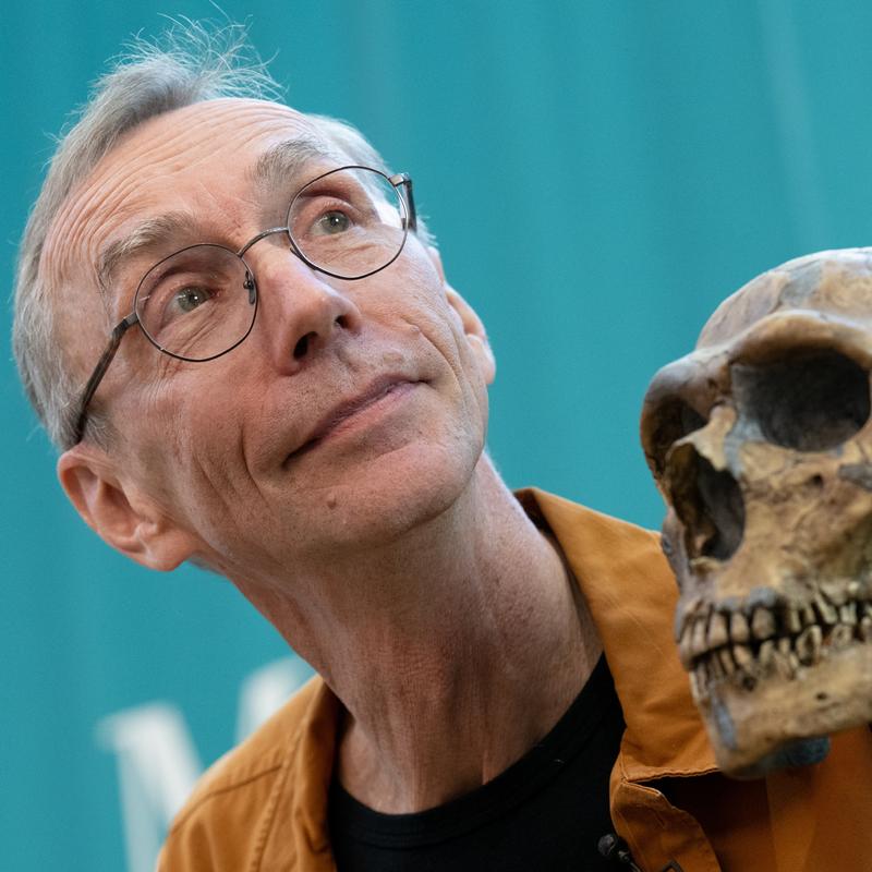 Der Denisova-Mensch - Ein neues Familienmitglied - Radiowissen | BR Podcast