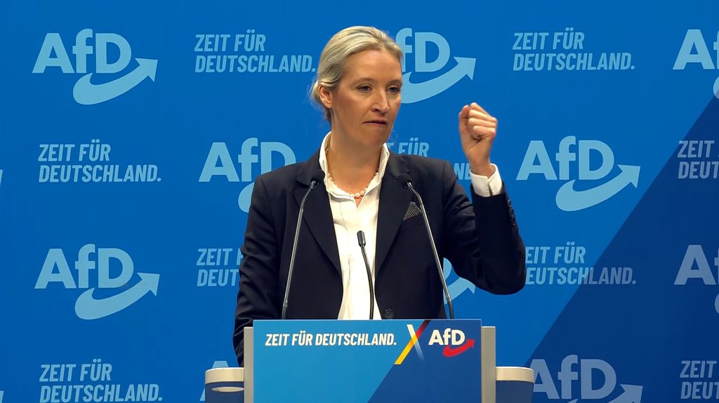 AfD-Wahlprogramm: Wirtschaft, EU und Migration | BR24