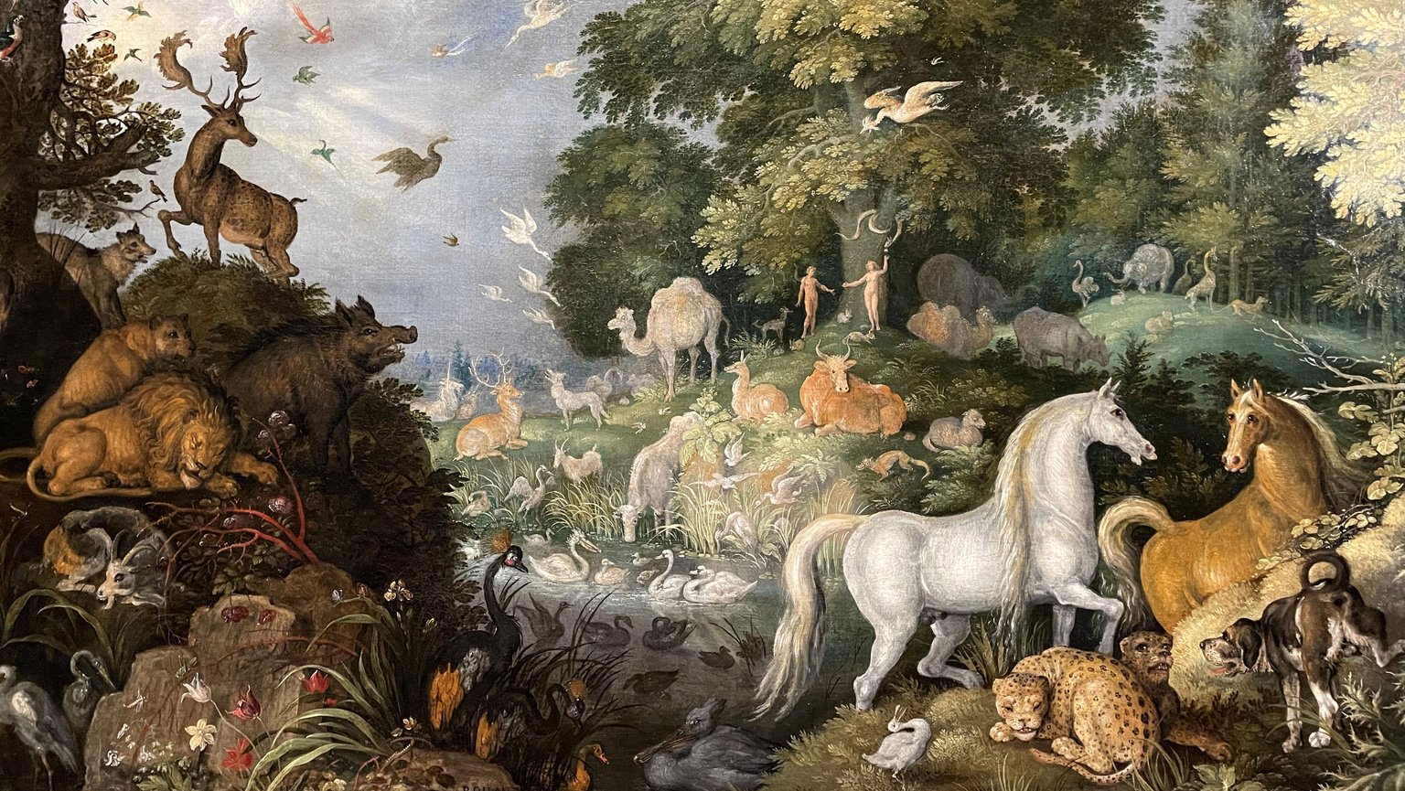 Die Ausstellung "Hello Nature" – Katastrophe oder Paradies? | BR24